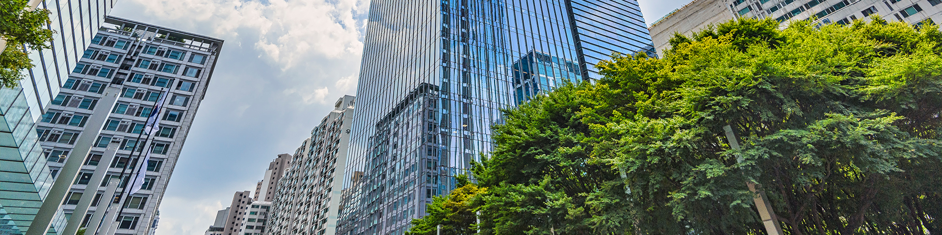 Gangnam Travel Map — Visit Gangnam